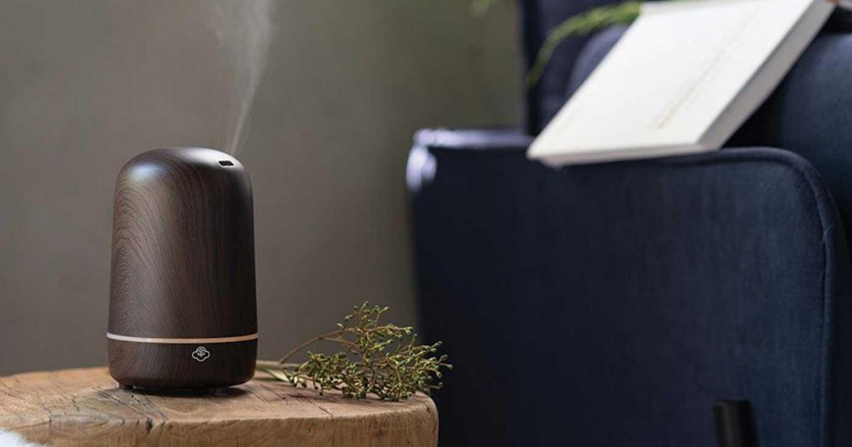 Discover the Magical Effects of Fragrance with the Diffusers of Serene ...