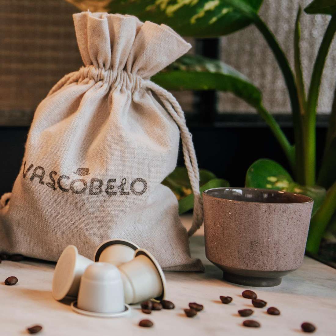 Vascobelo Compostable V-cups Le Roi - 10 pieces