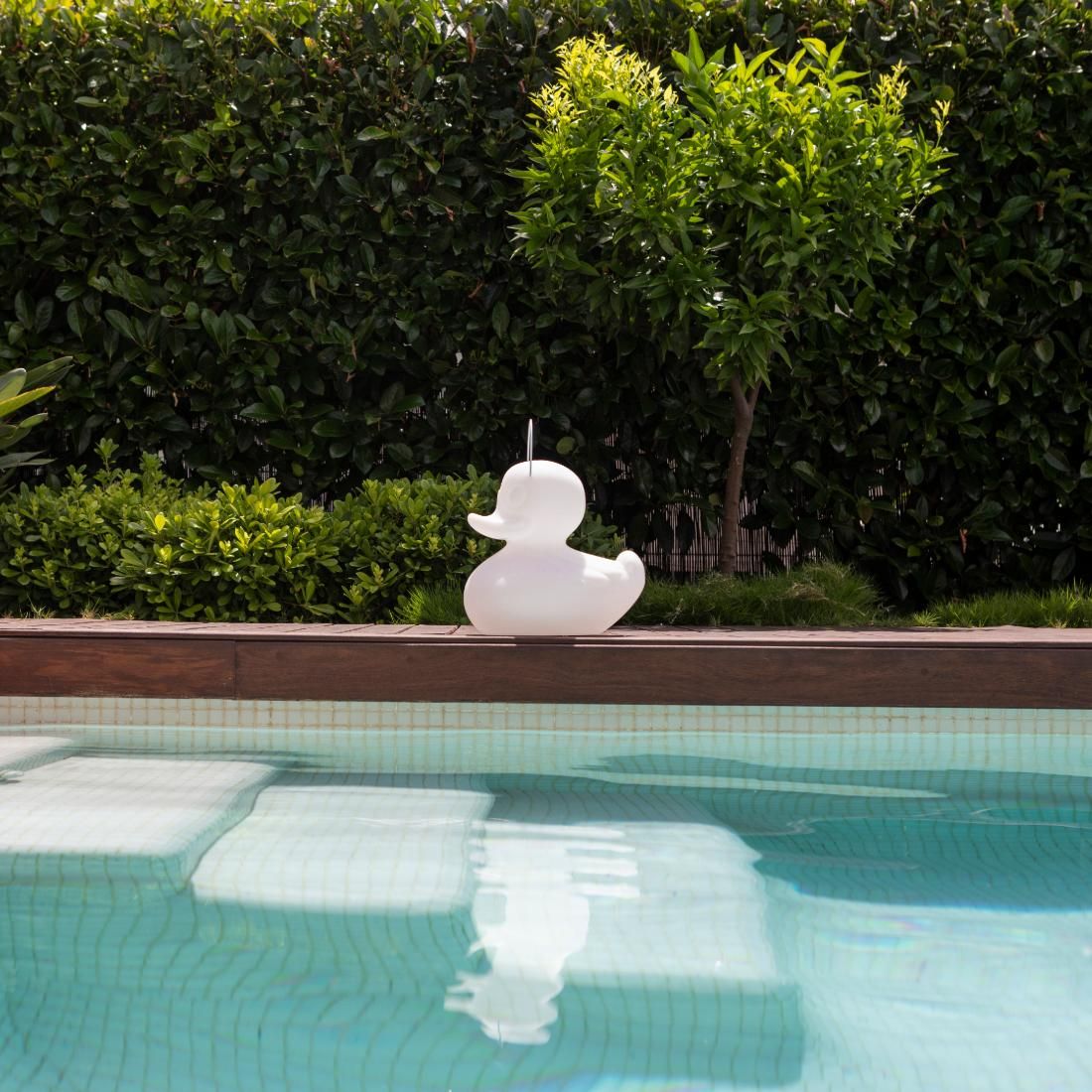 Goodnight Light De Eend Eend Lamp - Klein