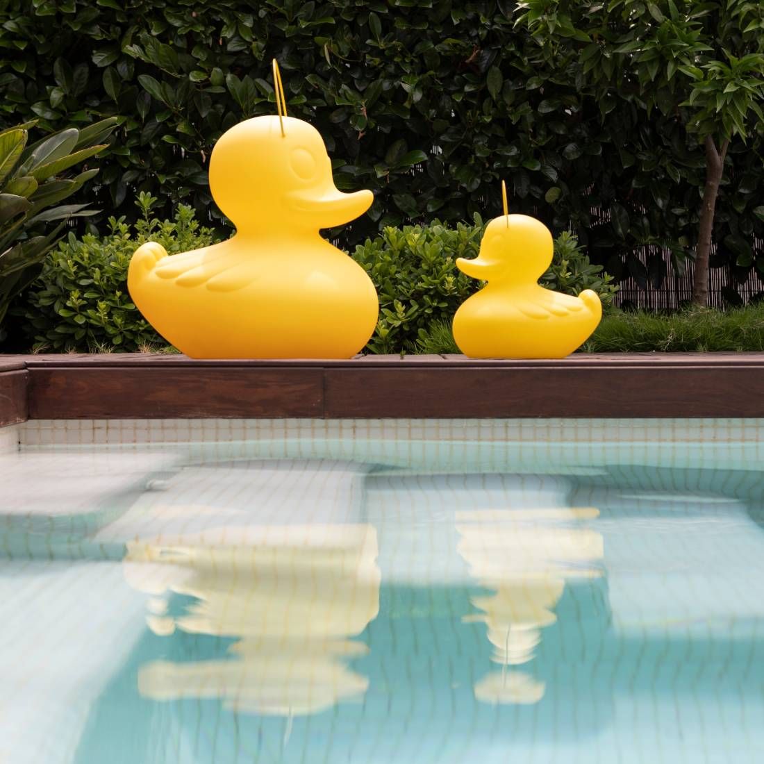 Goodnight Light The Duck Duck Lamp - XL