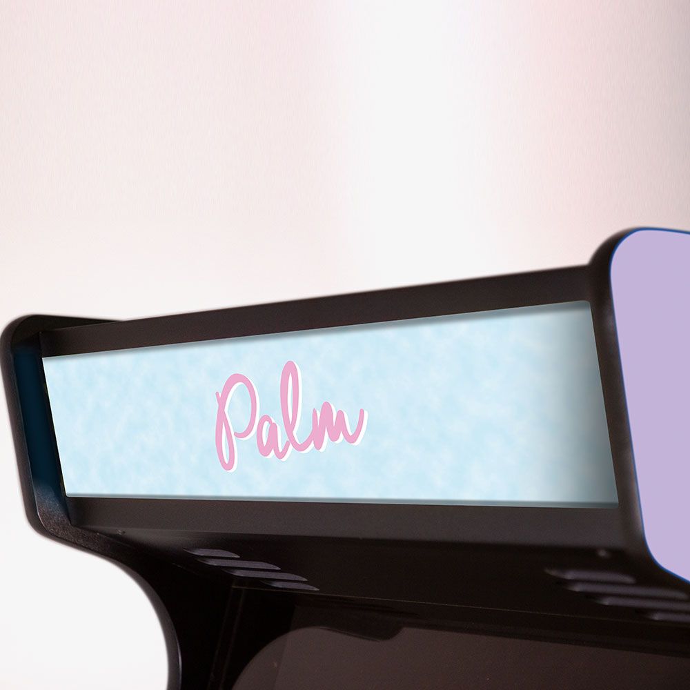 Neo Legend Arcade Machine Classic Expert - Miami Palm