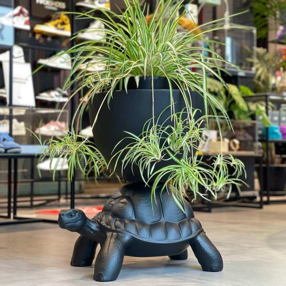 Qeeboo Turtle Carry Planter & Ice Bucket